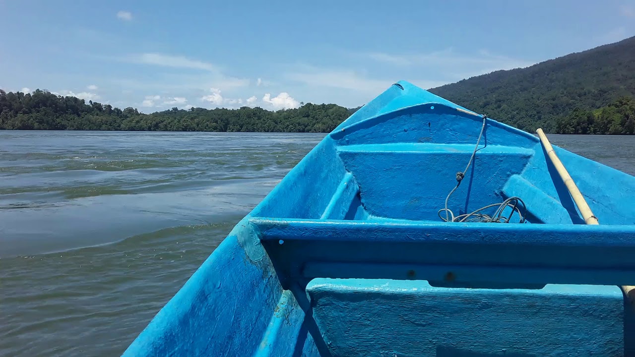 Arus wanoma - YouTube