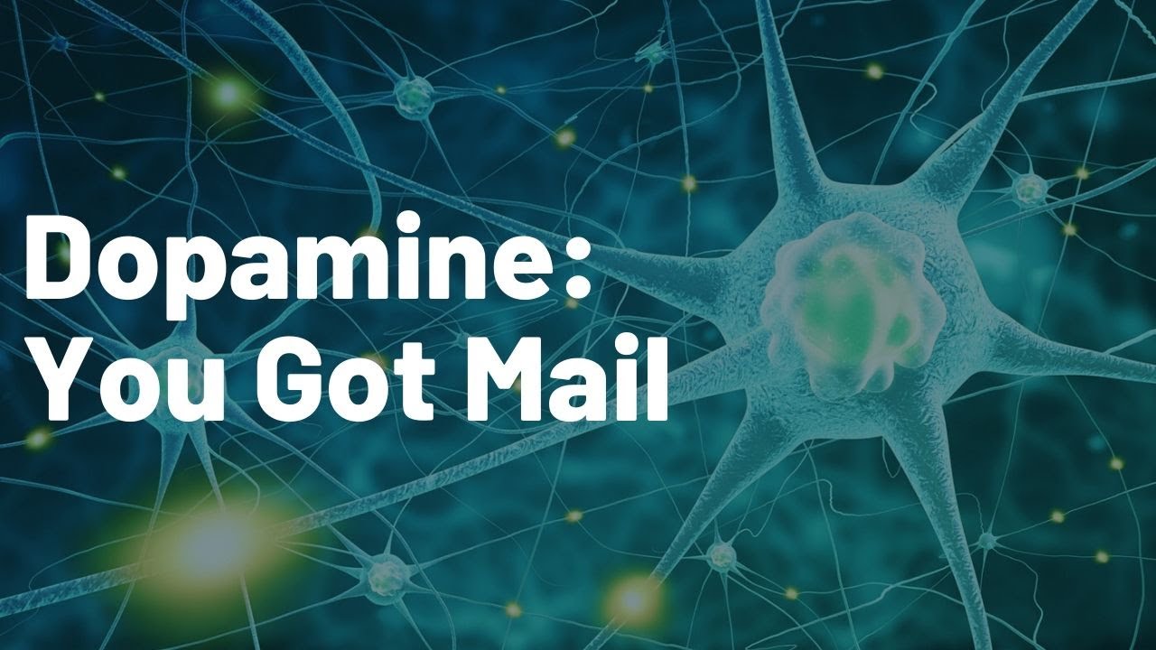 Dopamine: You've got mail - YouTube
