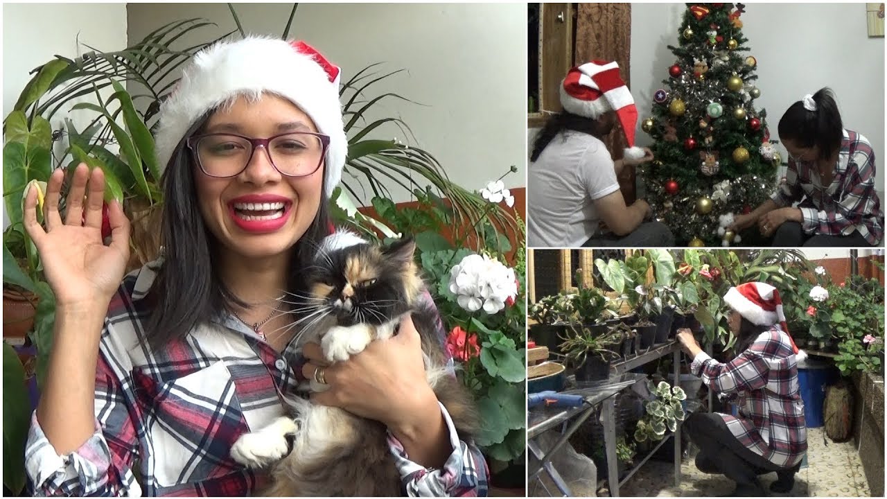 Decorando navideño mi jardín│Candy Bu - YouTube