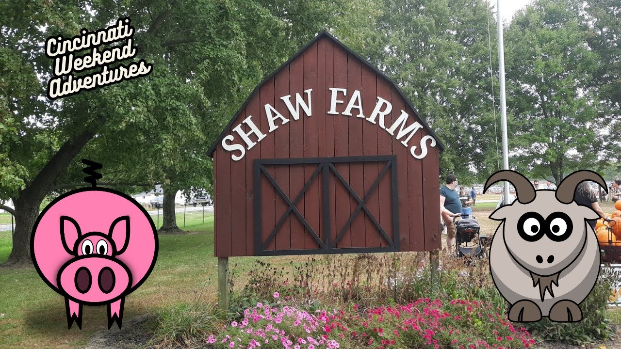 Shaw Farms: A popular local attraction - YouTube