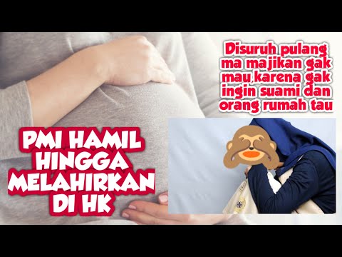 CURHATAN MAJIKAN ,PMI'NYA HAMIL HINGGA MELAHIRKAN DI HONGKONG MEMBUATNYA KER3P0TAN