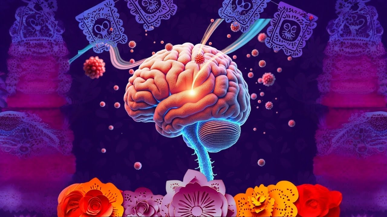 How Menopause Reshapes the Brain: Understanding Cognitive Changes and ...