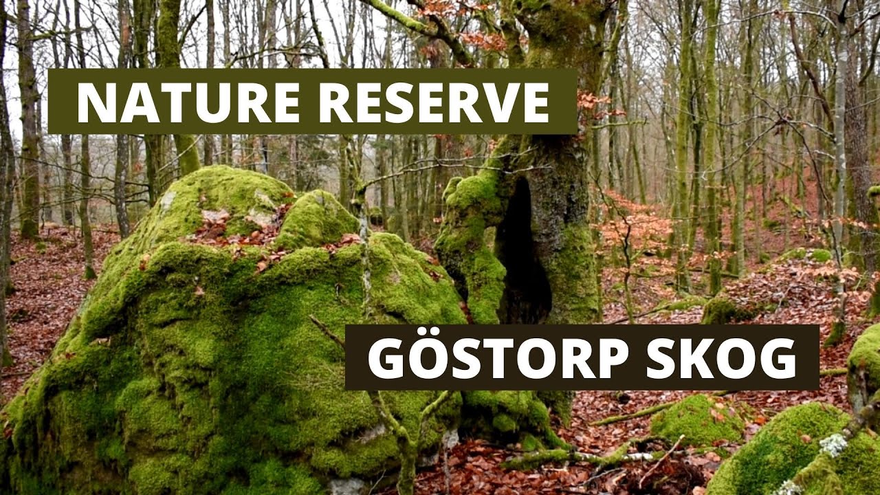 NATURE RESERVES: A visit to Göstorp skog, Sweden - YouTube