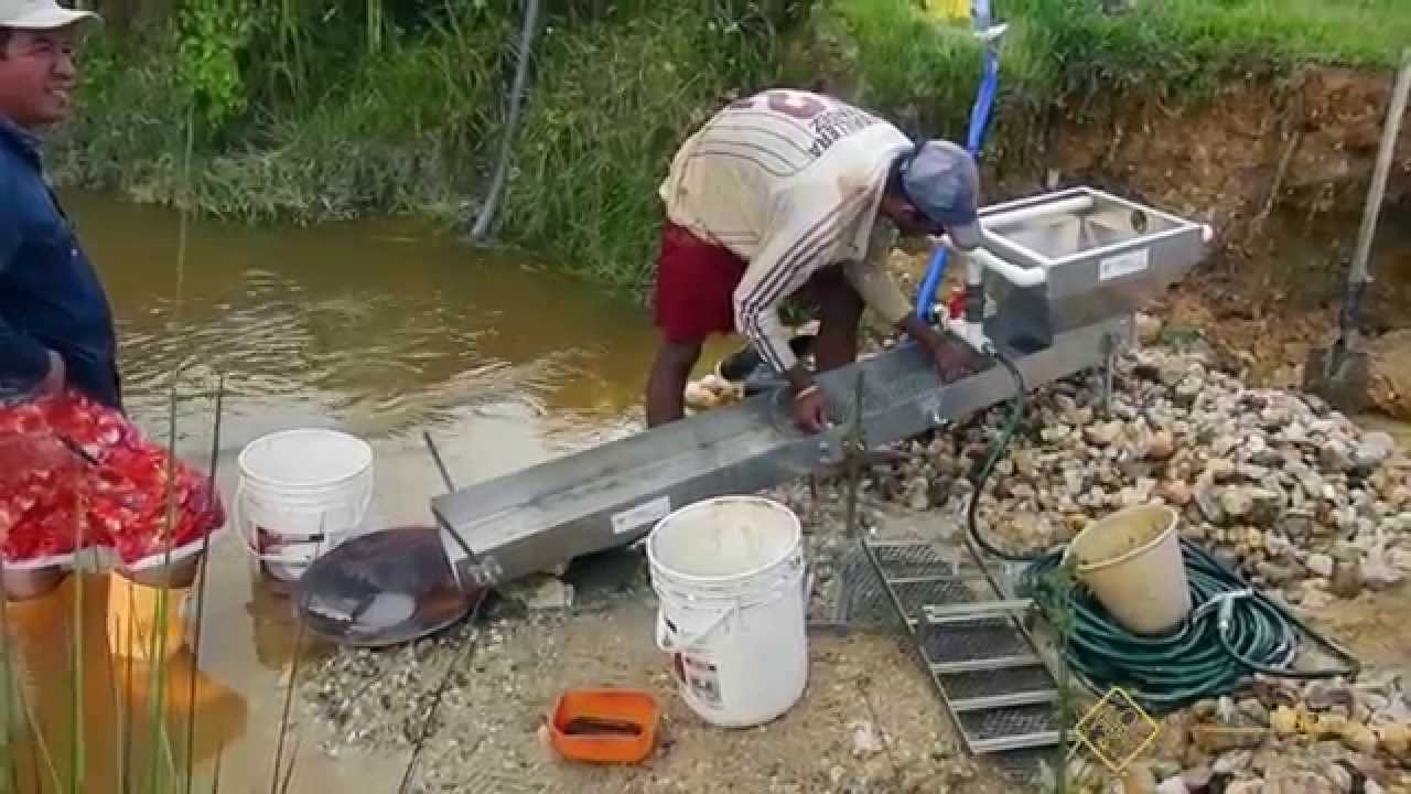 LAVANDO ORO con la Draga Cajón Ecológica (Resultado Final Sorprendente ...