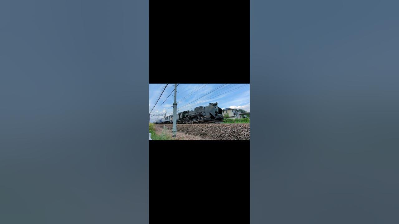 最後の蒸電重連…？ D51 498上越線試運転 #上越線 #ef64 #slぐんま #d51 #12系 #試運転 - YouTube