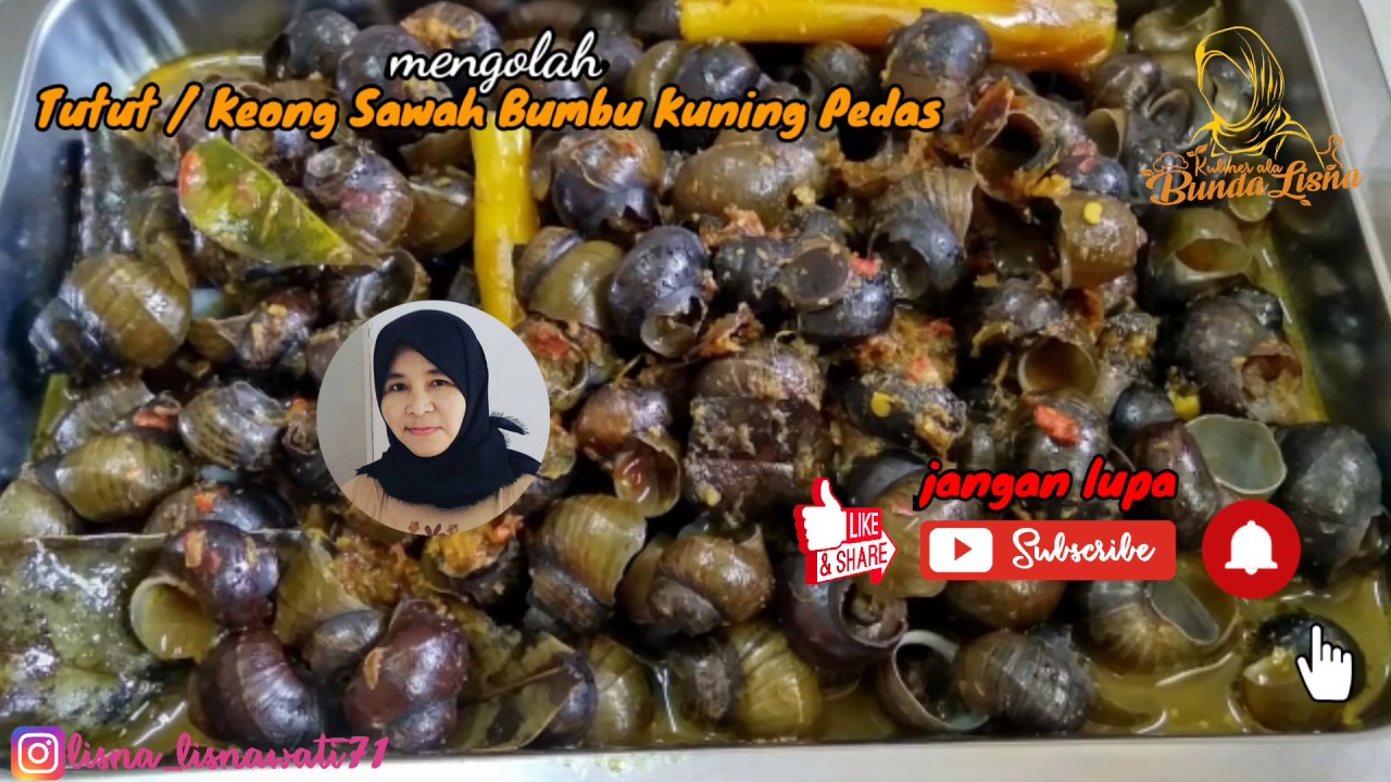 Mengolah Tutut / Keong sawah, Bumbu kuning pedas - YouTube