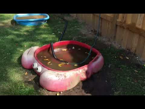 Duck Pond-Pump Marvel - YouTube