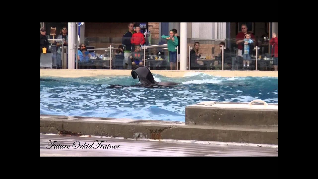 Ulises Breakfast With Shamu - YouTube