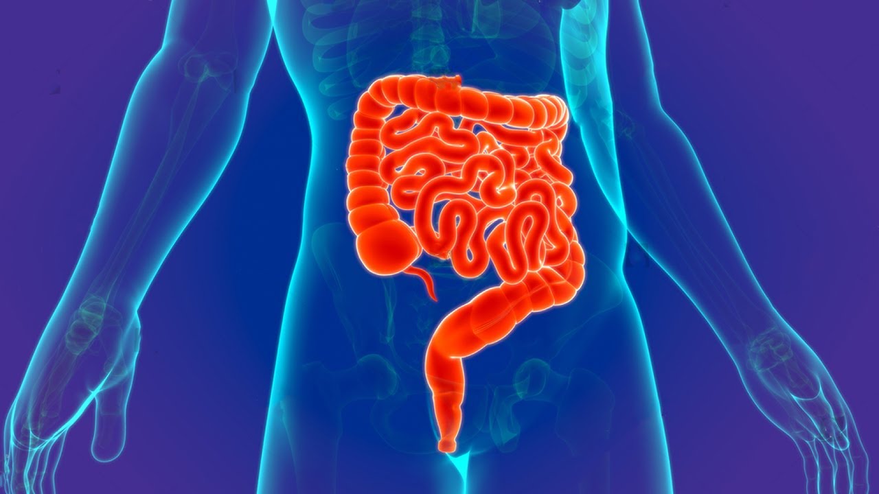 Gut Detox Music - Small Intestine Healing Frequency | 432 Hz - YouTube