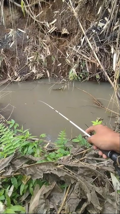 MANCING WADER SAMBIL NGABUBURIT #microfishing #mancingwader #mancinguceng #mancing #ngabuburit ...