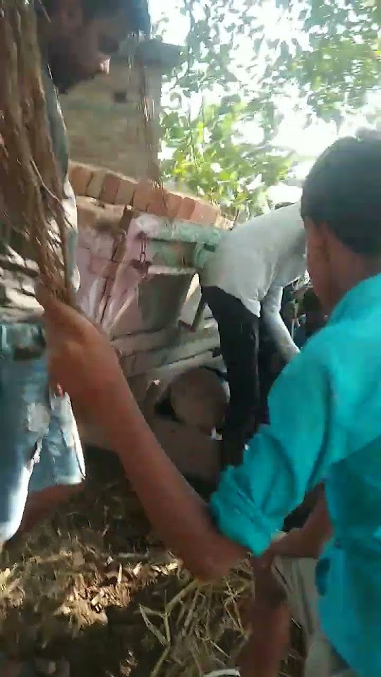 sk Tajmul sonalika - YouTube