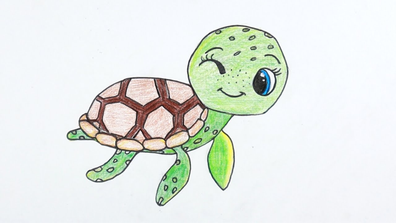 How To Draw A Turtle l easy steps l Pencil sketch - YouTube