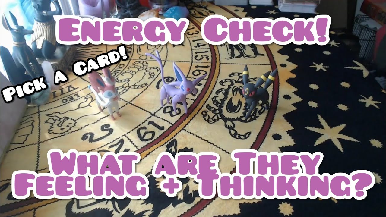 💕 What Are They Thinking & Feeling Right Now? 💕 (Timeless) - YouTube