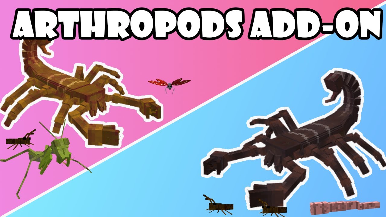 Arthropods Add-On | Minecraft PE! - YouTube