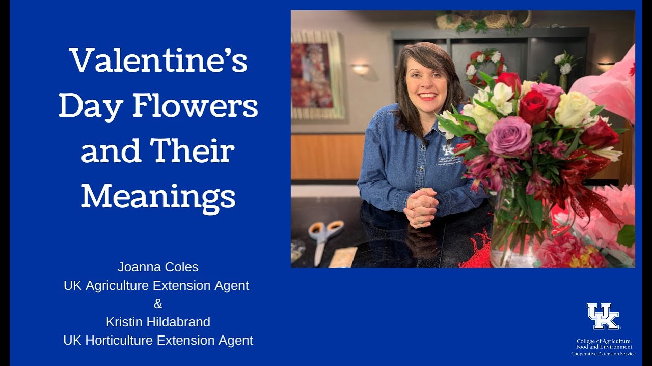 Valentine's Day Flowers and Their Meanings - YouTube