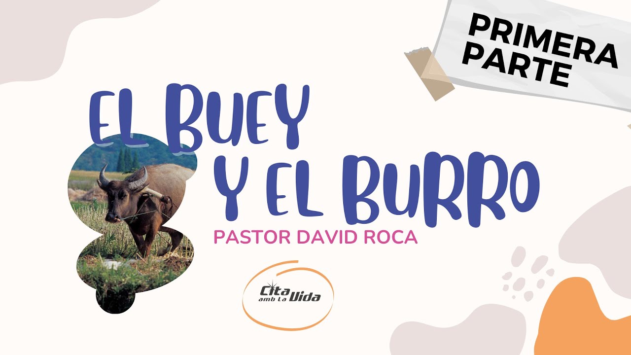 EL BUEY Y EL BURRO - 26/04/23 | Pastor David Roca - YouTube