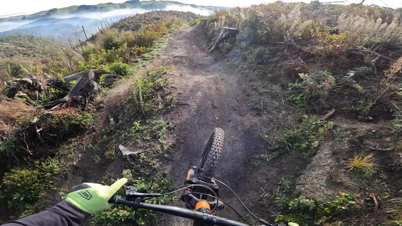 MTB Ride! / Vol. 18 Redwoods, Rotorua - YouTube