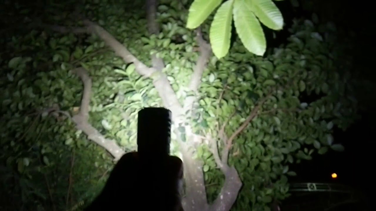 Test Sentolop Senter - Nitecore Hc33 - YouTube