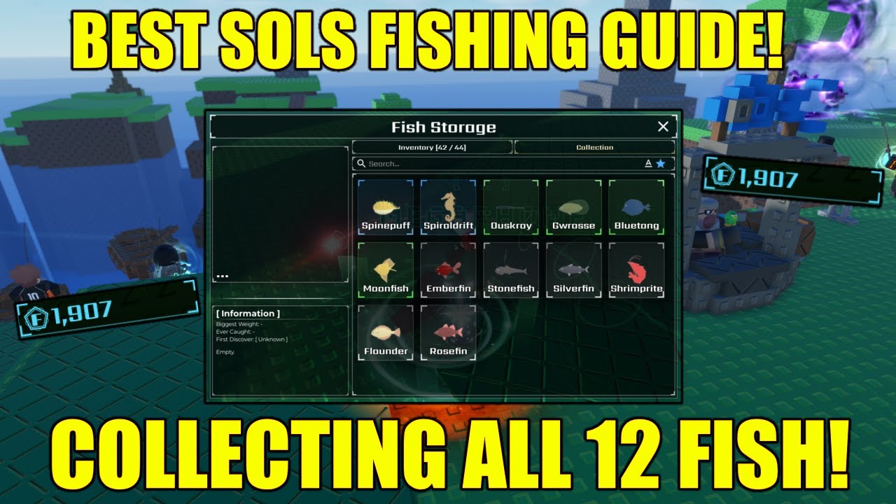 BEST FISHING GUIDE IN SOL'S RNG! COLLECT ALL FISH FAST - YouTube