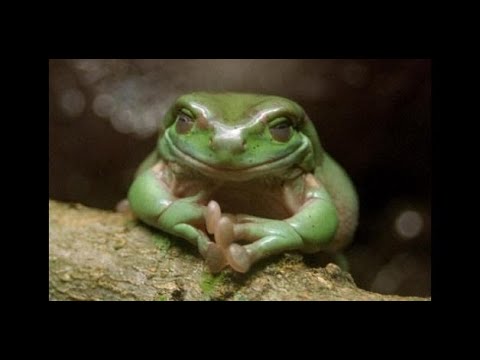 Cutting up in truck sim - YouTube