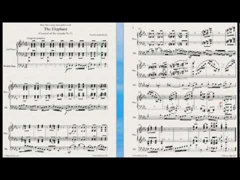 The Elephant from Carnival of the Animals by Camille Saint-Saens - YouTube