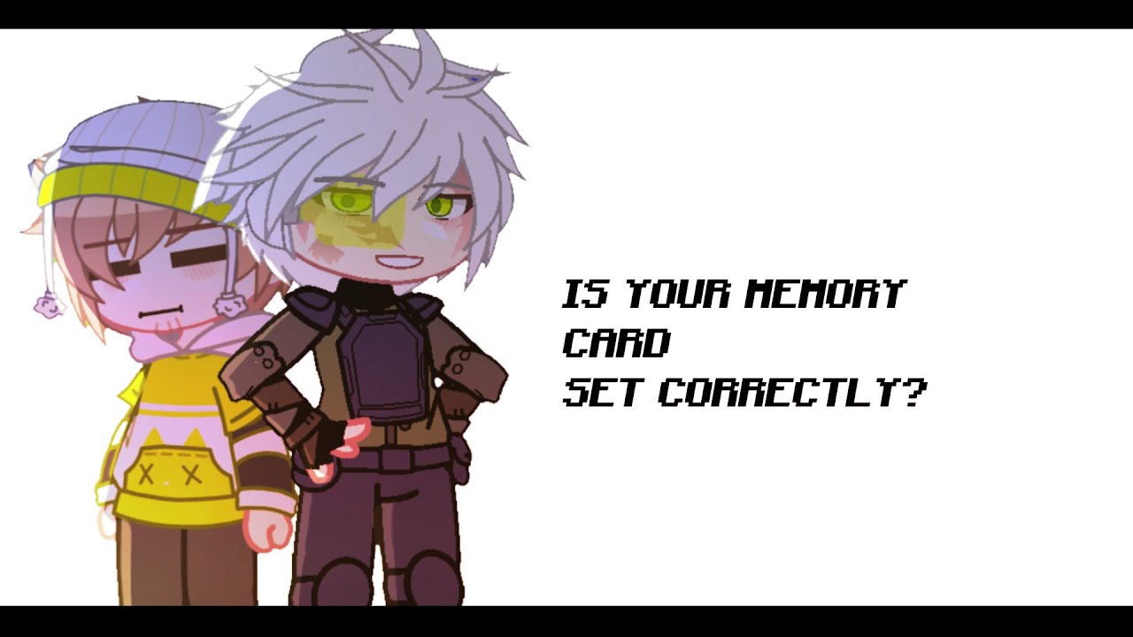 [DSMP] Is your memory card set correctly? | cc!dream and c!dream ...