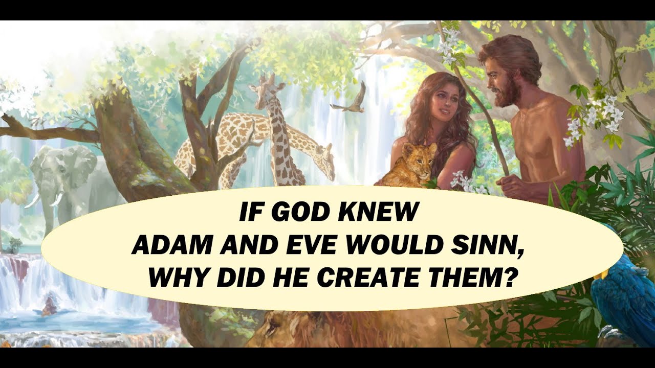 If God knew Adam and Eve would sin, why did He create them? - YouTube