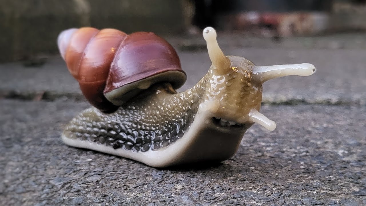 Sculpting a realistic snail with teeth - YouTube