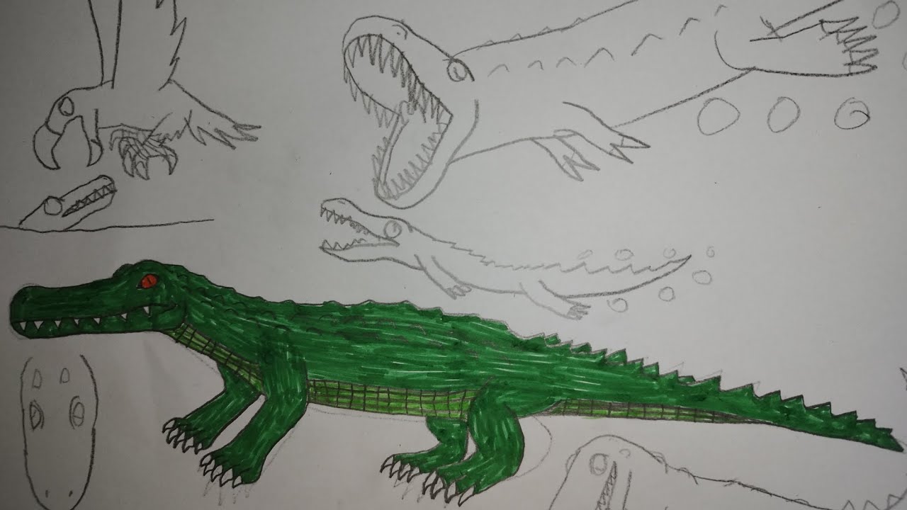 Sound Effects-Dwarf American Alligator - YouTube