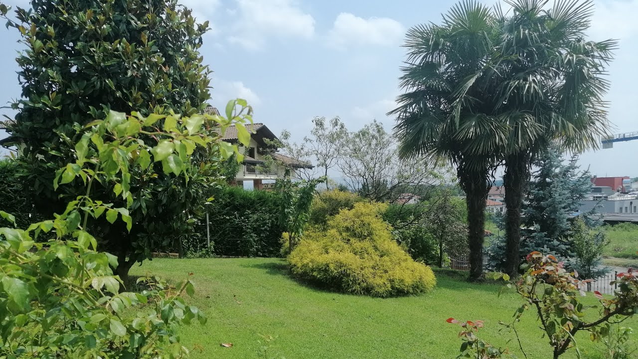 🌱Horto na Italia - saiba o que os italianos plantam no jardim🌾 - YouTube