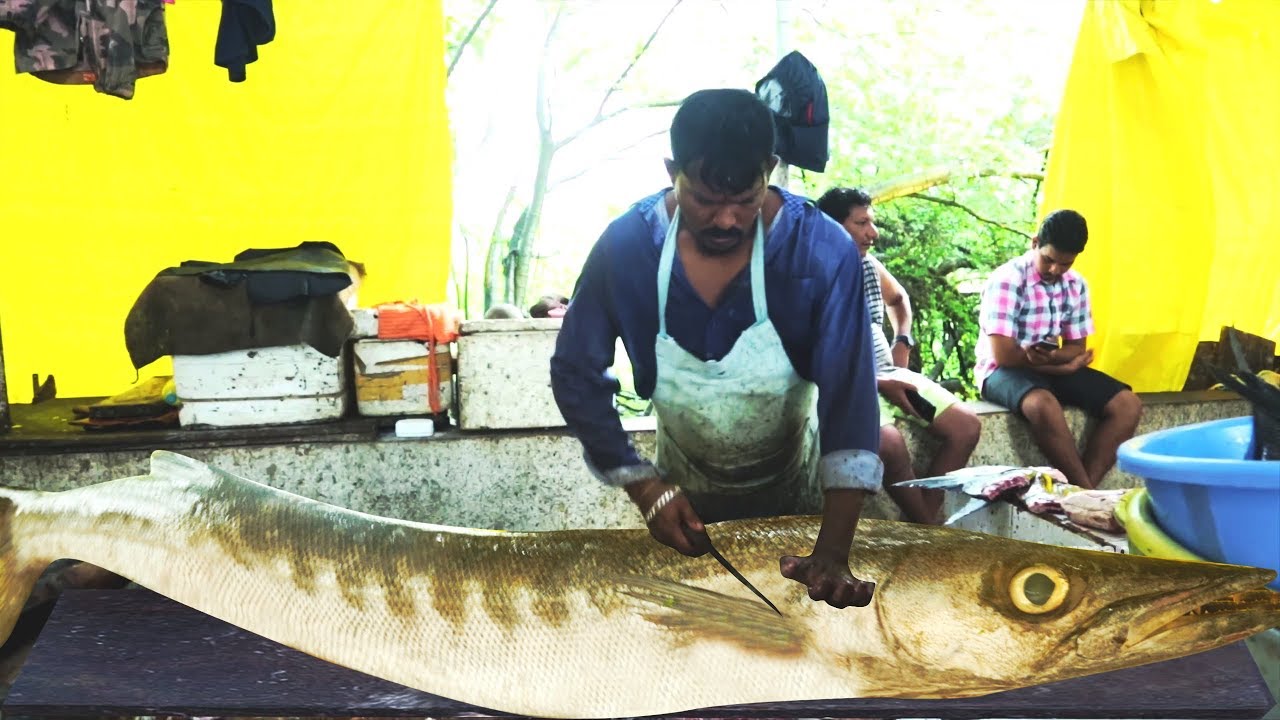 Live Fish Cutting Skills | Skilled Fisherman | Fisherman - YouTube