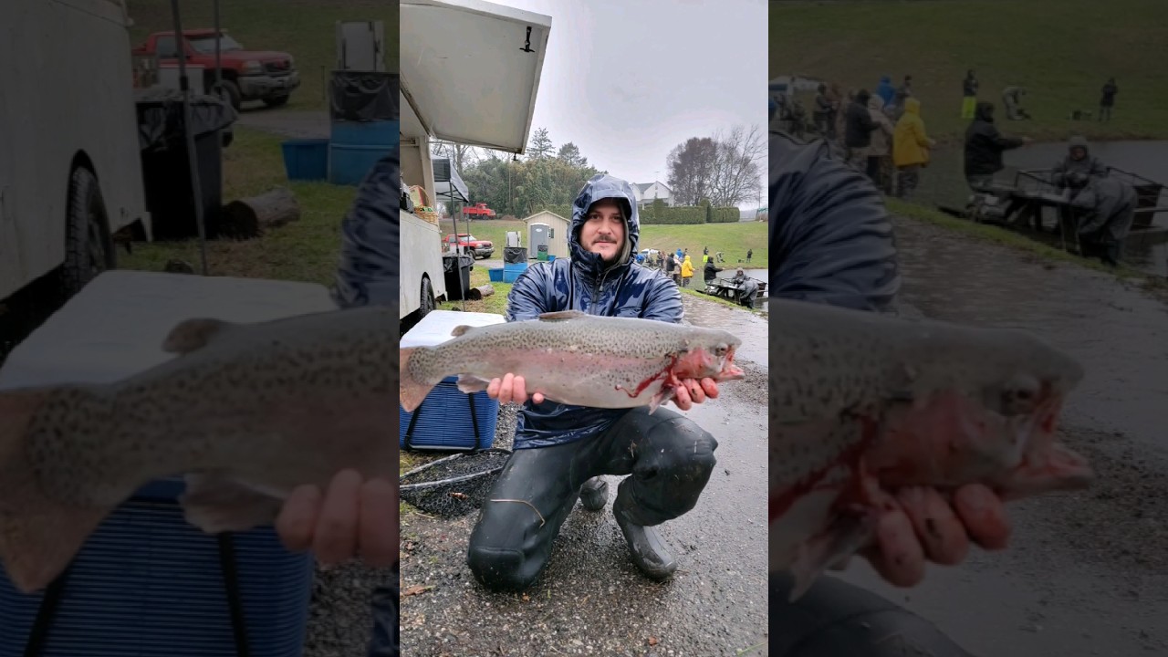Fishing a Trout Derby in the Rain at Linvilla Orchards #fishing #trout ...