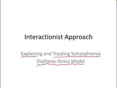 Interactionist Approach to Treating Schizophrenia - YouTube