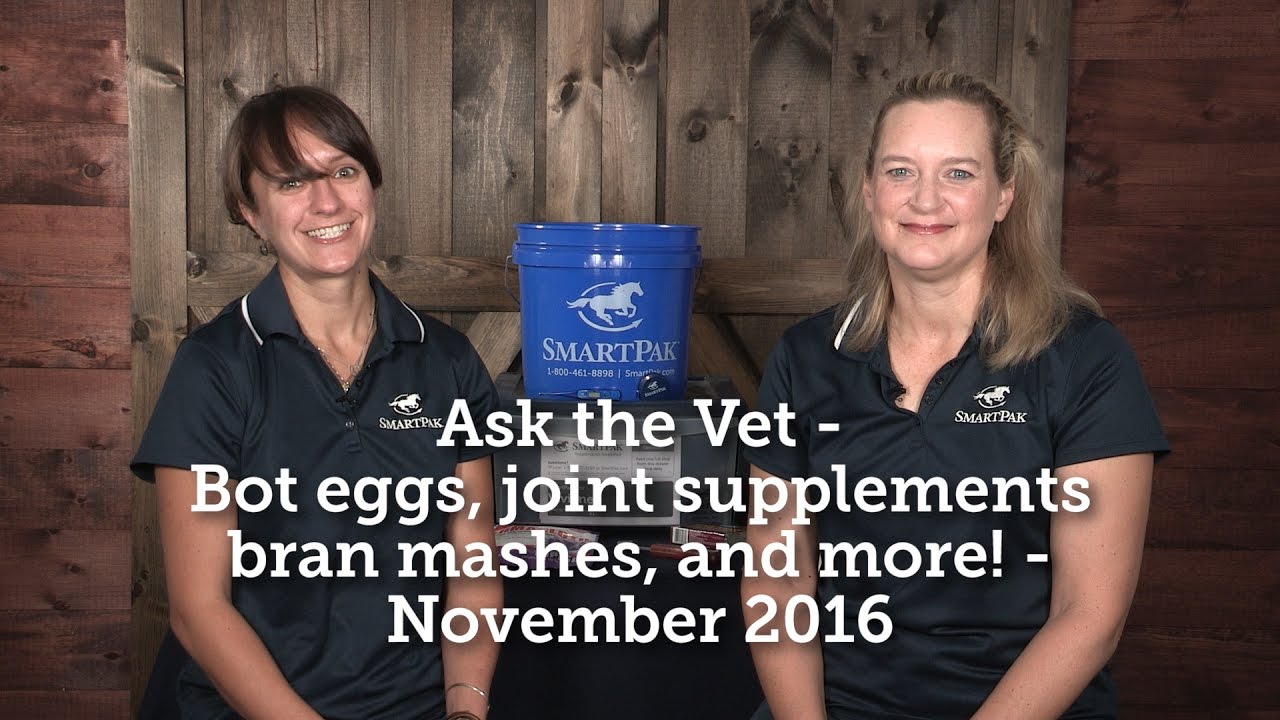 Ask the Vet - Bot eggs, joint supplements, bran mashes, and more ...