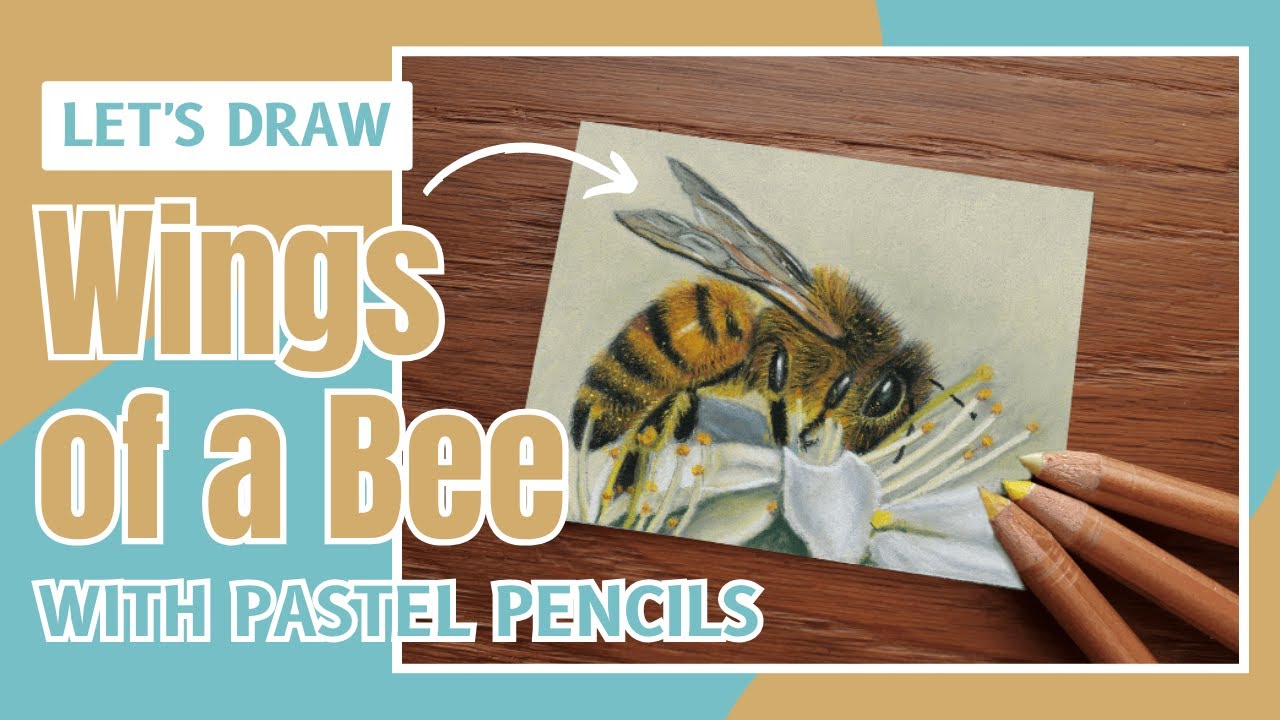 Let's Draw the Wings of a Bee with Pastel Pencils Drawing Lesson ...