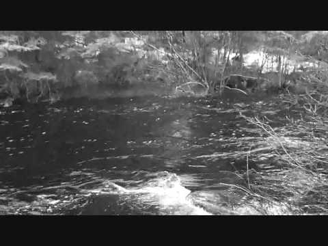 Ernest "Smokey" Smith - YouTube