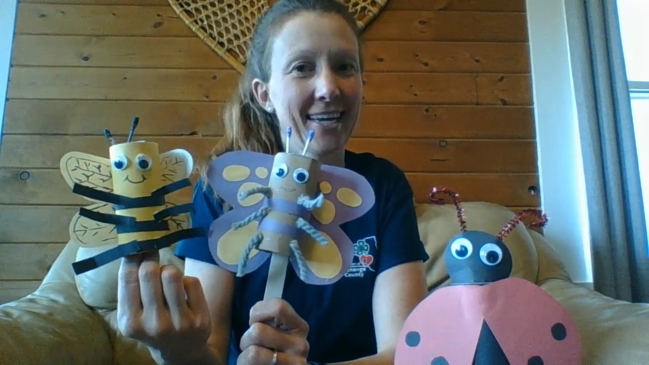 Toilet Paper Tube Insects! - YouTube
