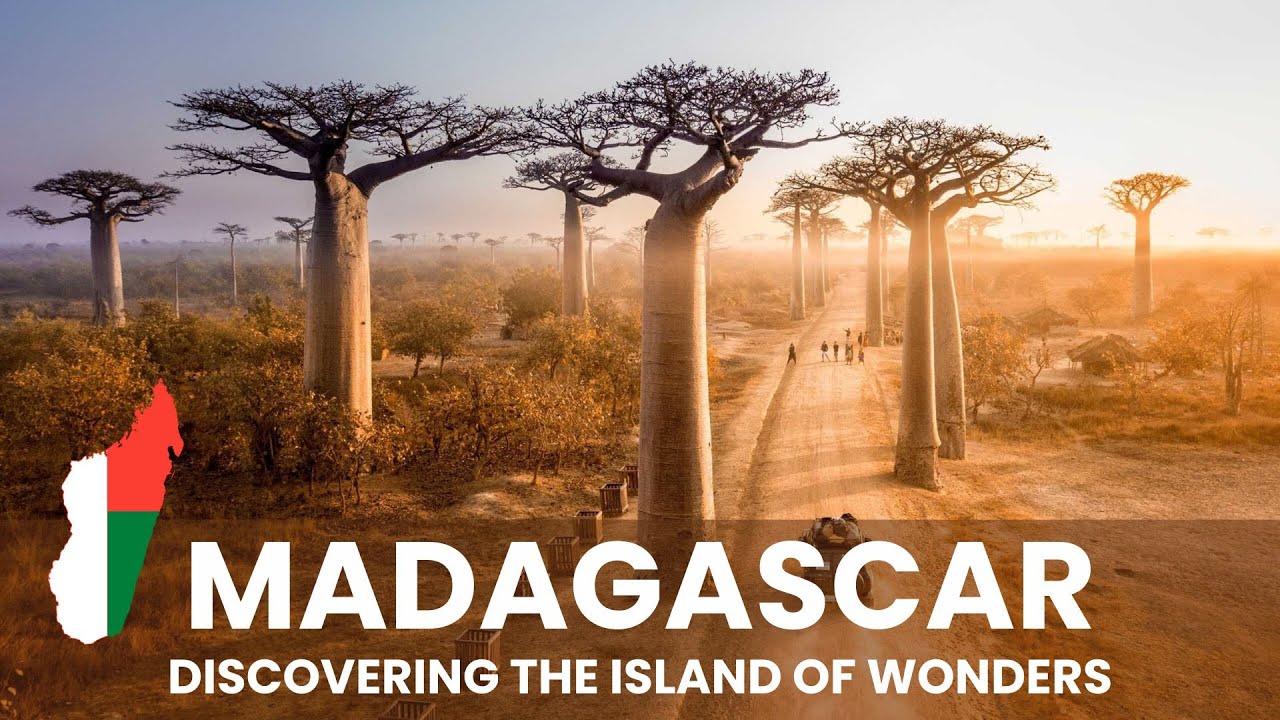 Madagascar Island History
