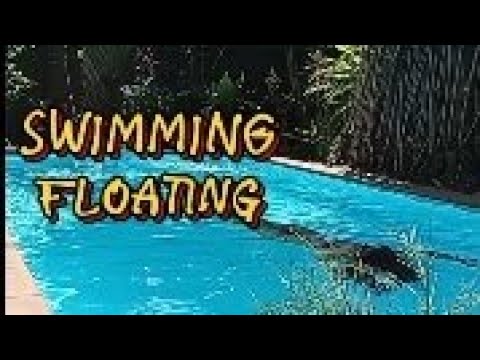 SWIMMING FLOATING// ASMR// CRUNCHY SWIMMING POOL SOUND - YouTube