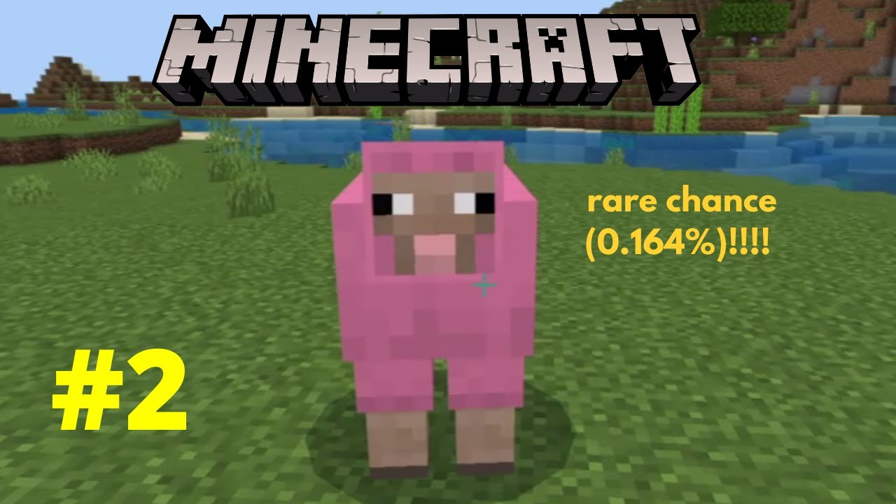 I FOUND A RARE SHEEP!!! | MINECRAFT SURVIVAL #2 - YouTube