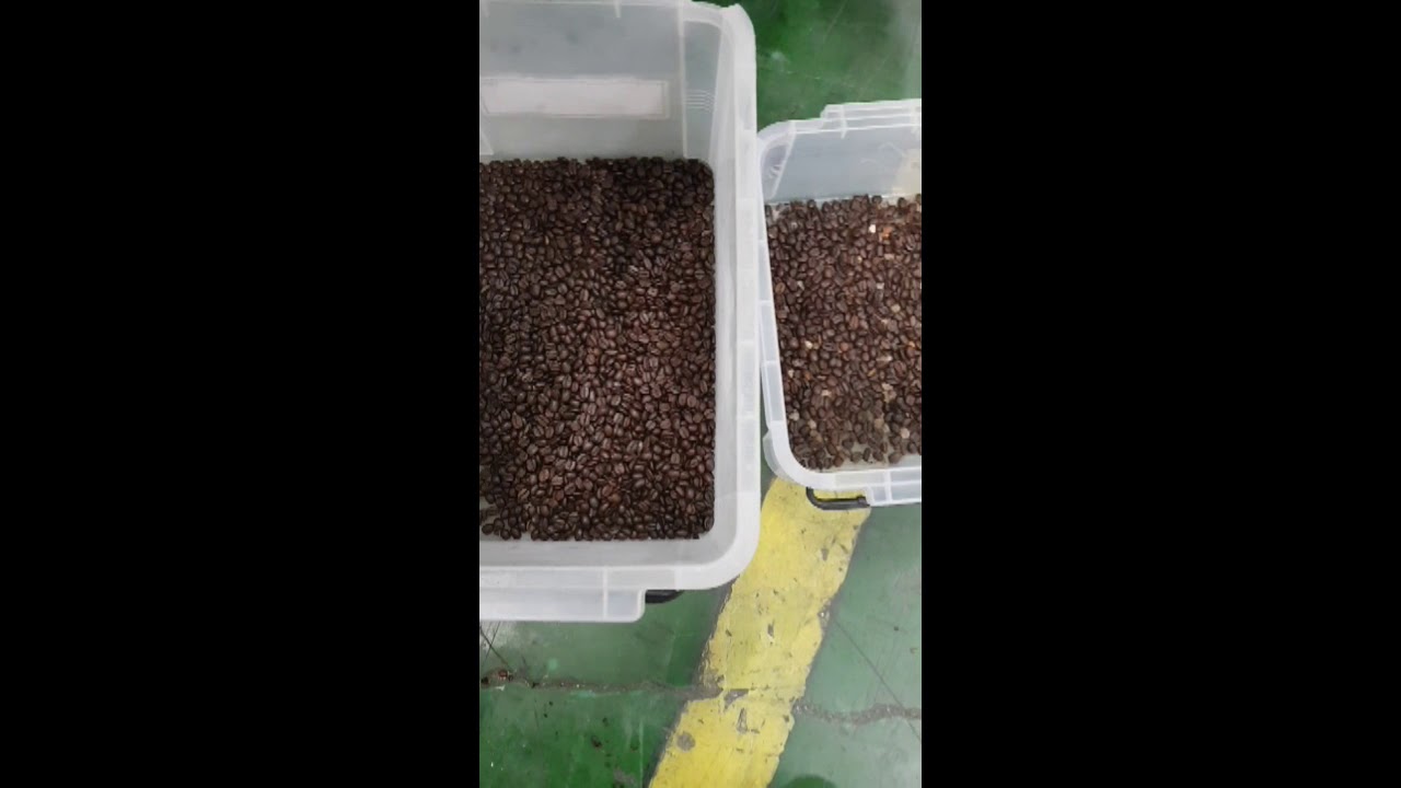 DAEWON ROASTED COFFEE SORTING - YouTube