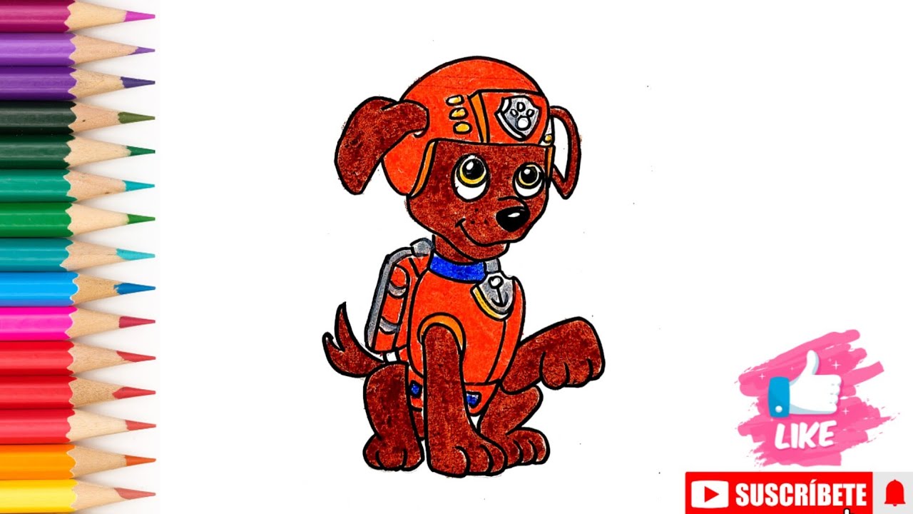 How to draw Zuma easy | Easy drawing for kids - YouTube