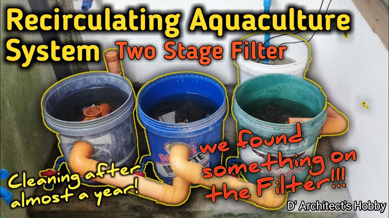 RAS | Recirculating Aquaculture System | Two Stage Filter Cleaning | D ...