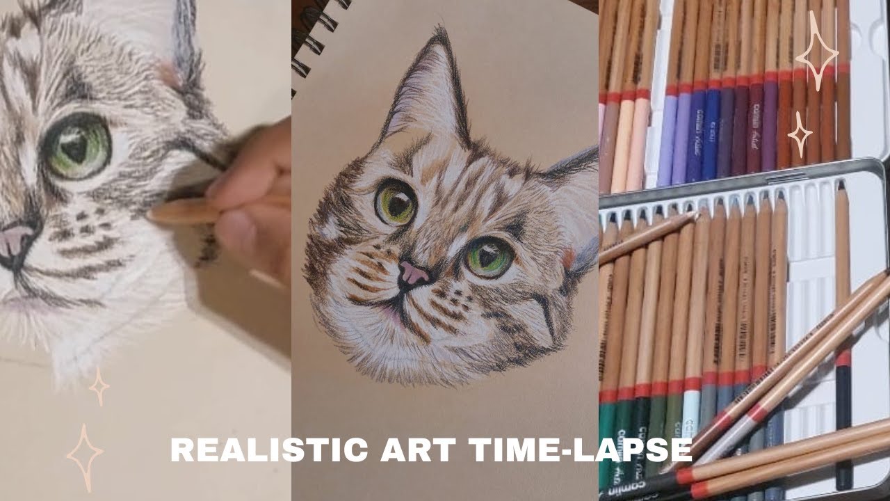 Drawing realistic cat face using Camlin colour pencils - Timelapse ...