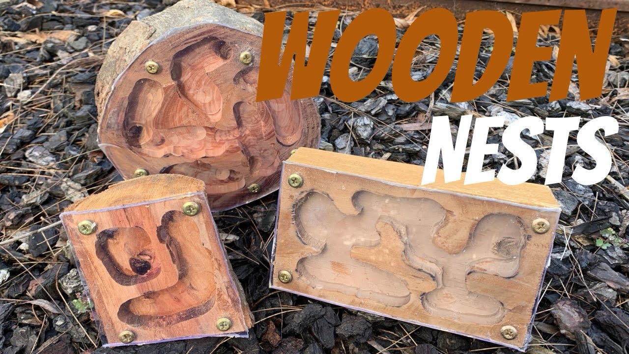 Wooden Ant Farm! DIY! - YouTube