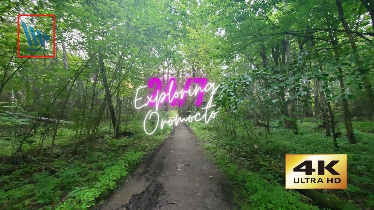 Exploring Oromocto Trails - 4K Part 2 - YouTube