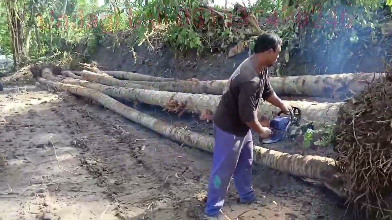 undagi balli penataan lahan disain rumah adat bali minimalis sesuai ...