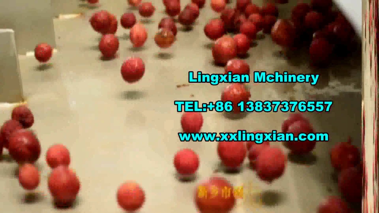 Lychee(Litchi), Longan, Rambutan Peeling Machine - YouTube
