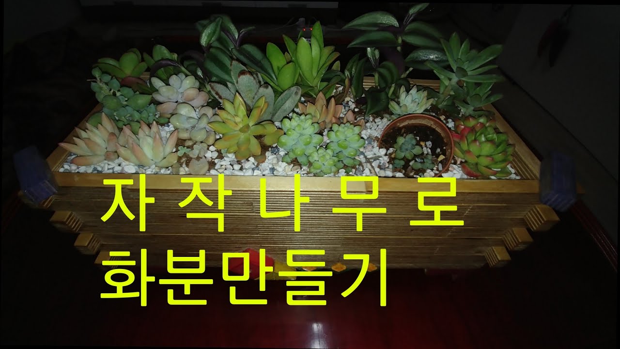 목재화분만들기모듬구천원의행복 국민다육이 화훼농원 화분만들기 다육이물주기 분갈이 반려식물 다육이화분 다육이잎꽂이 Youtube