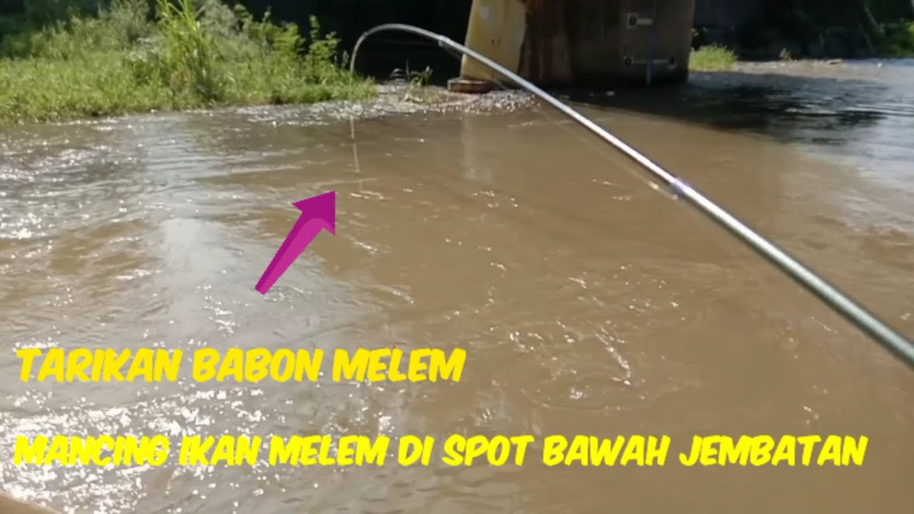 MANCING IKAN MELEM DI SPOT BAWAH JEMBATAN PART.3 || FULL STRIKE (micro ...